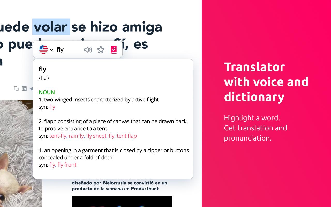 Edge Extension for Translation and Dictionary - Lingvanex Translation Tool - Microsoft Edge ...