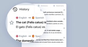 Translation App for Windows - Windows Translation Software - Lingvanex.